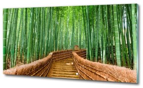 Wallmuralia Moderní skleněný obraz z fotografie Bambusový les 100x50