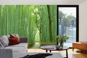 DIMEX | Samolepicí vliesová fototapeta na zeď Bambusová stezka MA-5-1583 | 375 x 250 cm | zelená