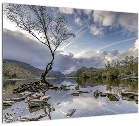Skleněný obraz řeky se stromem (70x50 cm)