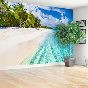 Fototapeta Palm beach 104x70