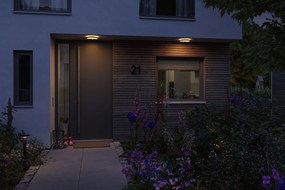 P 94708 LED venkovní panel Lamina Backlight pohybové čidlo neláká hmyz IP44 kruhové 280mm CCT 14W 230V černá umělá hmota - PAULMANN