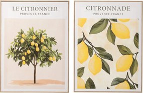 Sada 2 obrazů Citronnier - 45*60*2,5 cm