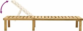 vidaXL Zahradní lehátko impregnované borové dřevo [49087]
