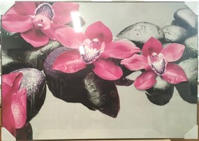 Bondecor Obraz "Orchidej pink" - tisk na papír na MDF desku,100x70cm