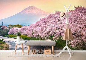 Samolepící fototapeta nádherné Japonsko - 375x250 cm