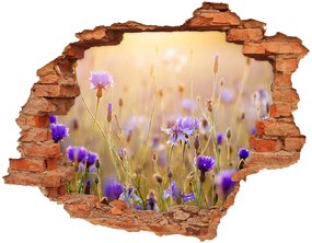 Wallmuralia Samolepící díra nálepka Polní květiny 90x70 cm