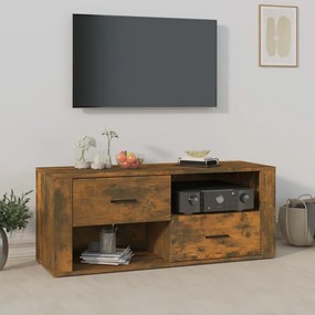 TV skříňka kouřový dub 100 x 35 x 40 cm kompozitní dřevo
