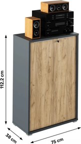 Skříňka, grafit / dub artisan, RIOMA NEW TYP 09