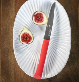 Opinel Bon Appetit + steakový nůž s polymerovou rukojetí 11 cm, červená, 001902