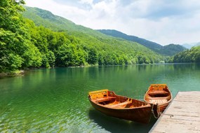 DIMEX | Samolepicí vliesová fototapeta na zeď Biogradské jezero MA-5-3075 | 375 x 250 cm | zelená, modrá, hnědá