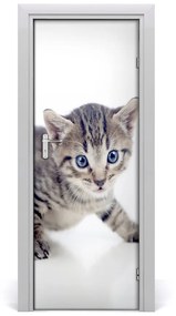 Samolepící fototapeta na dveře Malá kočka 75x205 cm