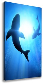Wallmuralia Vertikální Foto obraz na plátně Siluety žraloků 50x100