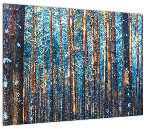 Obraz - Zimní les (70x50 cm)