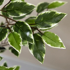 Umělý fikus HOMCOM s kmeny 130 cm s květináči a 702 realistickými listy pro domácí dekoraci obývacího pokoje a ložnice Ø15x130 cm Zelený