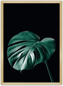 Plakát Dark Monstera
