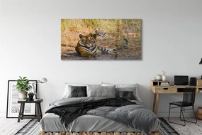 akrylový obraz Tigers 140x70 cm