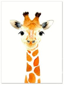 Obraz s motivem malovaná zvířecí mláďata Motiv: TX2071 žirafa II., Rozměry (cm): 15x20 cm