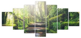 Obraz - dřevěné schody v lese (210x100 cm)
