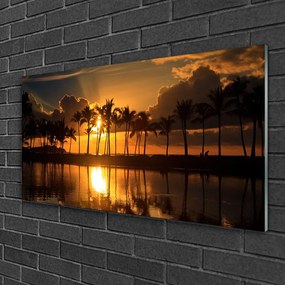 Obraz na skle Stromy Slunce Krajina 140x70 cm