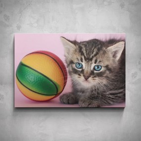 Obraz - Kotě s míčkem - PopyDesign
