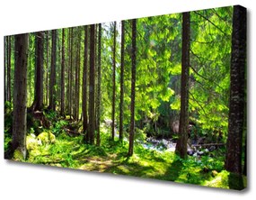 Obraz na plátně Les Stromy Rostlina Příroda 140x70 cm