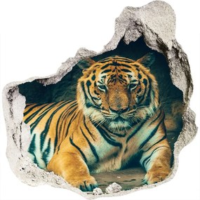 Wallmuralia Díra 3D fototapeta nálepka Tygr v jeskyni 75x75 cm