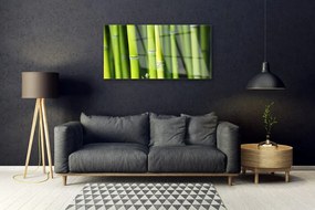 Obraz na skle Bambus Příroda Rostlina 100x50 cm