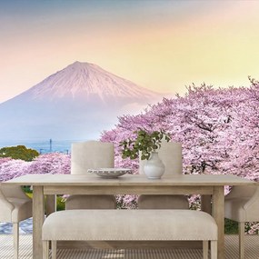 Samolepící fototapeta nádherné Japonsko - 150x100 cm