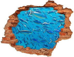 Wallmuralia Díra 3D fototapeta nálepka Korálové ryby 90x70 cm