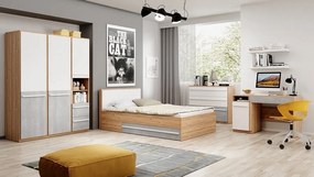 Casarredo - Komfort nábytek Šatní skříň FLAMY/PLANO 01, 3D2S dub nash/šedá/bílá