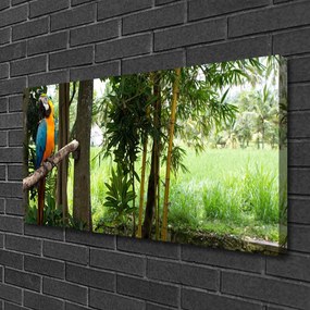 Obraz na plátně Papoušek Stromy Příroda 140x70 cm