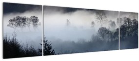 Obraz mlhy nad lesem (170x50 cm)