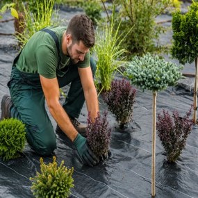 Černá agrotextilie proti plevelu 1 × 50 m, 70 g/m²