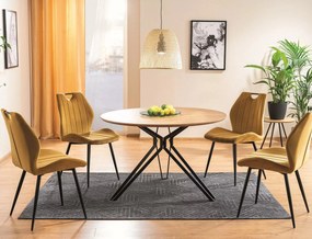Čalouněná jídelní židle Arco Velvet - výběr z 4 provedení