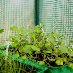 Majowo.cz BALKONOVÝ FOLIOVNÍK B 140 x 70 cm ZELENÝ