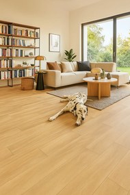 Beaulieu International Group, PVC podlaha - lino Domo 2158, na míru, šíře 2m, béžová, bez podkladu, kuchyně