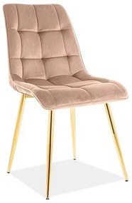 Jídelní židle Chic Velvet II, béžová / zlatá