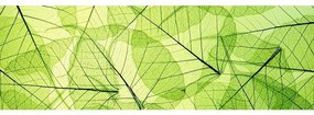 Samolepicí fototapeta na kuchyňskou linku Zelené listy KI180-048 / Fototapety do kuchyně Dimex (180 x 60 cm)