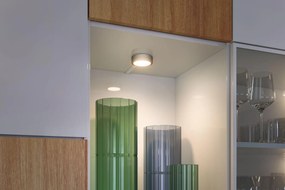 Paulmann LED přisazené nábytkové svítidlo Disc Barva: Matný chrom