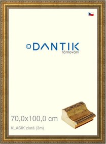 DANTIK rámeček 70x100 | KLASIK zlatá (Plexi Čiré)