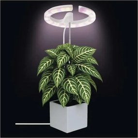 Lampa pěstební EMOS Z7902 Grow 8W