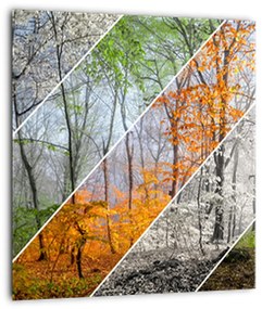 Obraz - Střídání ročních období (30x30 cm)