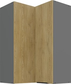 CREMONA ac | horní kuchyňská skříňka 60x60 GN-90 2F (90°) rohová s policemi | VYSOKÁ | 60x60 cm | antracit/cremona