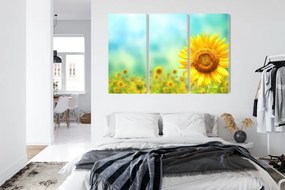 Vícedílný obraz Dekorativní 3D Květy Slunečnice Nedostatek Nedostatek Plátno Canvas 180x120