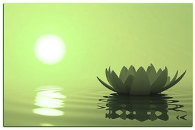 Obraz na plátně - Zen lotus 1167ZA (75x50 cm)