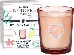 Maison Berger Paris – Riviera vonná svíčka Tonic Lemon (Citronový tonik), 180 g
