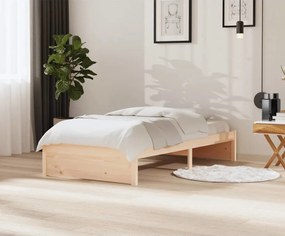 vidaXL Rám postele masivní dřevo 100 x 200 cm [814942] Barva: Přírodní