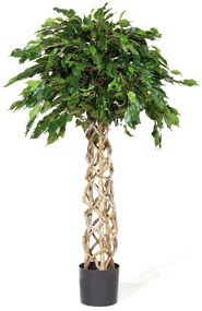 FICUS EXOTICA BALL - umělá rostlina, 150 cm