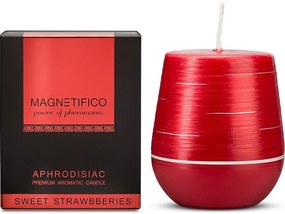 VALAVANI MAGNETIFICO – afrodiziakální svíčka Sweet strawberries (Sladké jahody), 200 g
