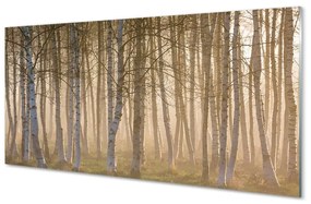 Obraz na skle Sunrise strom les 120x60 cm